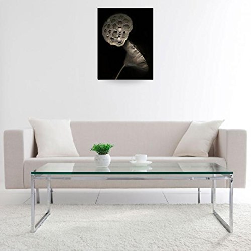 Imagekind Wall Art Print Entitled Lotus Pods II by Dawn Leblanc | 16 x 21