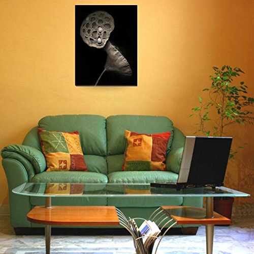 Imagekind Wall Art Print Entitled Lotus Pods II by Dawn Leblanc | 16 x 21