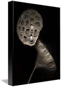 imagekind wall art print entitled lotus pods ii by dawn leblanc | 24 x 31