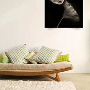 Imagekind Wall Art Print entitled Lotus Pods II by Dawn Leblanc | 36 x 47