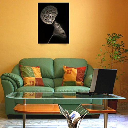 Imagekind Wall Art Print entitled Lotus Pods II by Dawn Leblanc | 36 x 47