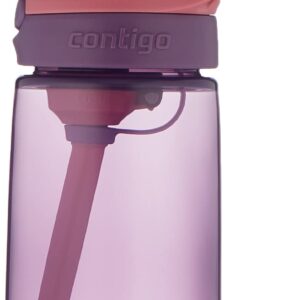 Contigo CLEANABLE 14OZ PP Eggplant Punch Waterbottle