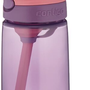 Contigo CLEANABLE 14OZ PP Eggplant Punch Waterbottle