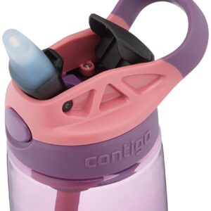 Contigo CLEANABLE 14OZ PP Eggplant Punch Waterbottle