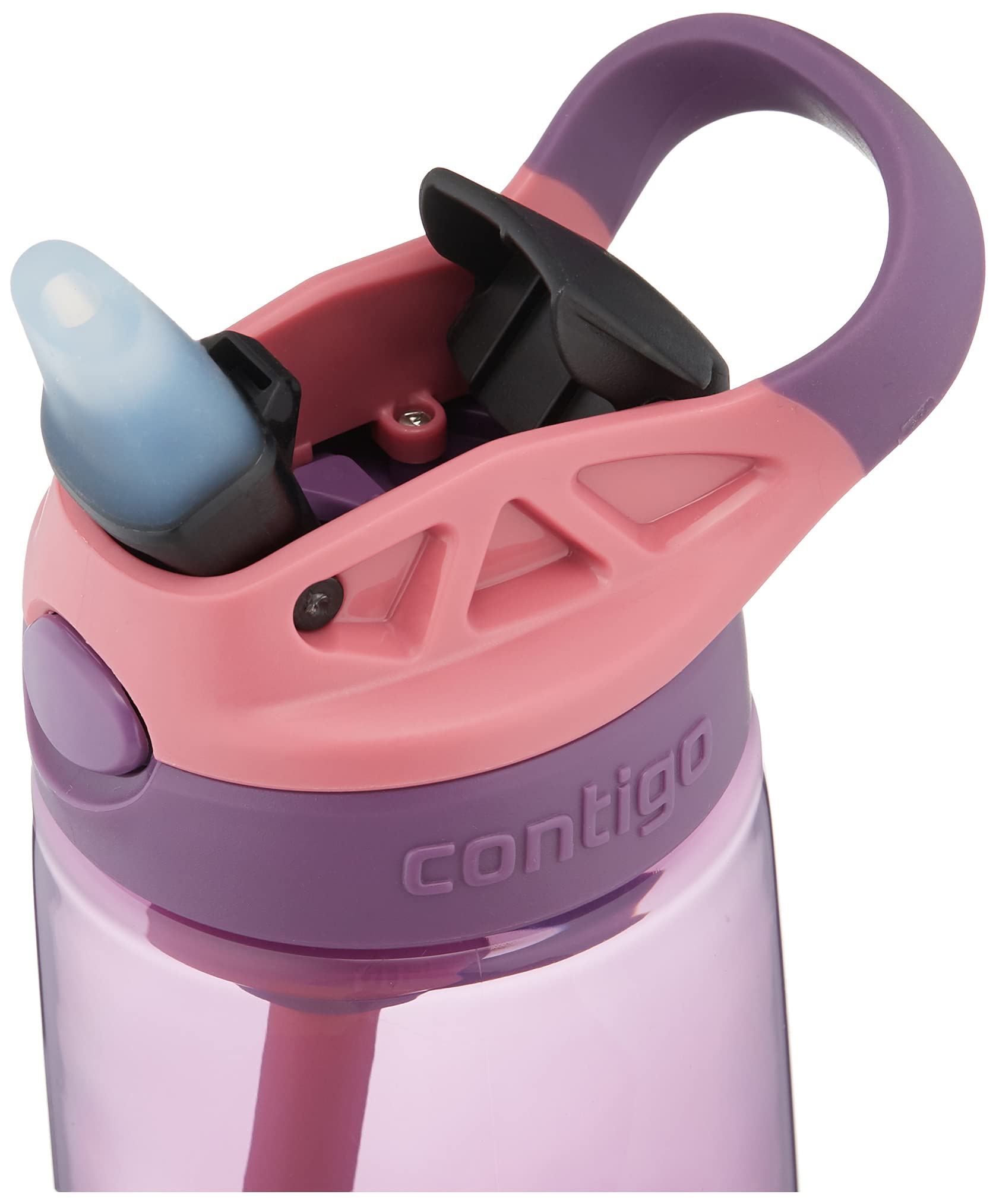 Contigo CLEANABLE 14OZ PP Eggplant Punch Waterbottle