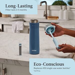 Contigo Wells Chill Stainless Steel Filter Water Bottle with Leak-Proof Straw Lid and Replacement Filter