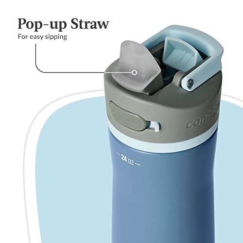 Contigo Wells Chill Stainless Steel Filter Water Bottle with Leak-Proof Straw Lid and Replacement Filter