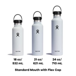 Hydro Flask Standard Flex Cap Lupine 21 Oz