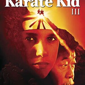 The Karate Kid III