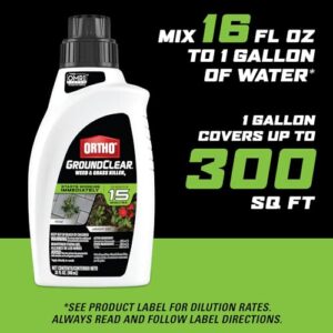 Ortho GroundClear Weed & Grass Killer2, Concentrate, Quickly Kills Crabgrass, Dandelions, and More, 32 fl. oz.