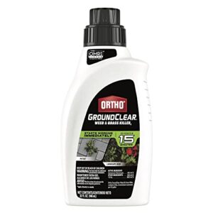 ortho groundclear weed & grass killer2, concentrate, quickly kills crabgrass, dandelions, and more, 32 fl. oz.