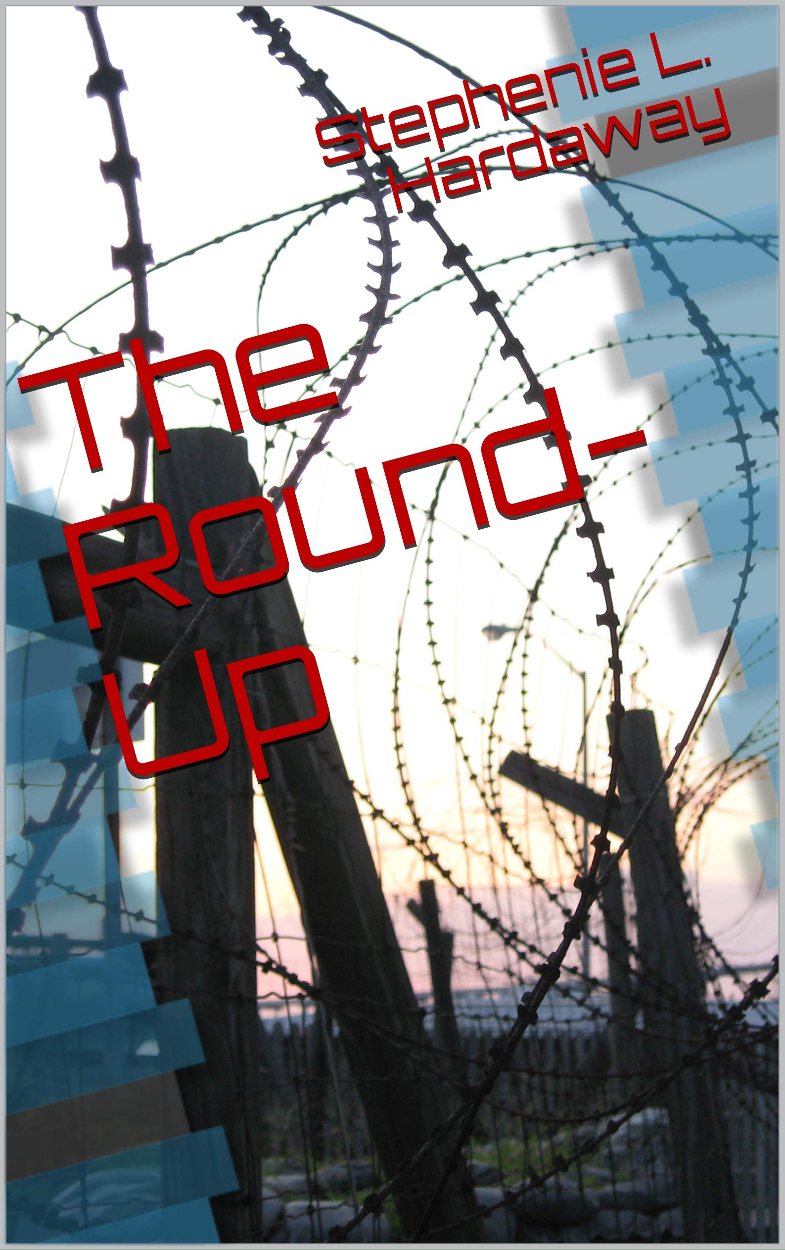 The Round-Up (The R Series Book 1)