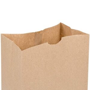 Mr Miracle Paper Bags Pack of 100 (Brown, 8Lb)