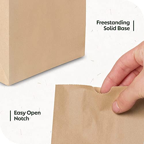 Mr Miracle Paper Bags Pack of 100 (Brown, 8Lb)