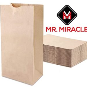 Mr Miracle Paper Bags Pack of 100 (Brown, 8Lb)