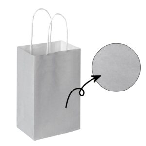 Oikss 50 Pack 5.25x3.25x8.25 inch Small Kraft Bags with Handles Bulk, Paper Bags Birthday Wedding Party Favors Grocery Retail Shopping Business Goody Craft Gift Bags Cub Sacks (Silver Grey 50 Count)