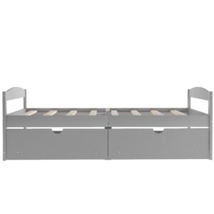 HZSSDTKJ Twin Size Platform Bed with Two Storage Drawers, Solid Wood Daybed Frame with Wooden Slats Support for Kids Teens Girls Boys Adults, No Box Spring Needed (Gray-T6, Twin)