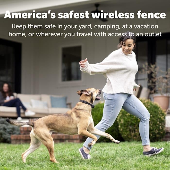 PetSafe Stay & Play Compact Wireless Pet Fence & Replaceable Battery, America's Safest Wireless Fence Dog Collar