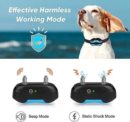 PcEoTllar Electric Fence for Dogs, Rechargeable Underground Dog Fence System, 1 Waterproof Collar Receivers, with 656Ft Underground/Aboveground Boundary Wire, for Large Medium Small Dogs