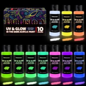 fantastory glow in the dark paint, 60ml/2oz neon glow acrylic paints, 2in1 paint,charge-glow& uv activated for outdoor rocks, diy craft,canvas,holiday decor,christmas,kids,adults