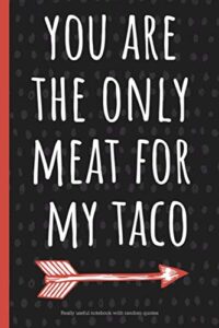 you are the only meat for my taco: a funny lined notebook. blank novelty journal with silly quotes inside, perfect as a gift (& better than a card) for your amazing partner!