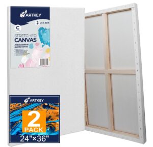 stretched canvases for painting 24x36 inch 2-pack, 12.3 oz triple primed acid-free 100% cotton blank canvas, large canvases for oil paint acrylics pouring & wet art media, pour painting