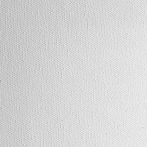 Practica Economy Stretched Cotton Canvas - Acid-Free Acrylic Primed Canvas for Acrylics, Pastels, Graphite, & More! - [2-Pack - 8x20]