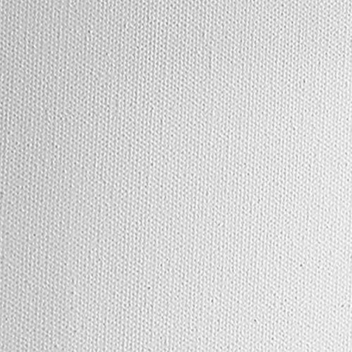 Practica Economy Stretched Cotton Canvas - Acid-Free Acrylic Primed Canvas for Acrylics, Pastels, Graphite, & More! - [2-Pack - 8x20]