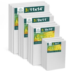 12 pack stretched canvases for painting with 11x14, 9 x12, 8x10, 5x7(3 of each), blank primed canvas for oil, acrylic & others, multi size set for artist, student and beginners