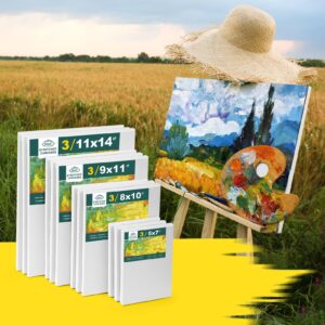 12 Pack Stretched Canvases for Painting with 11x14, 9 x12, 8x10, 5x7(3 of Each), Blank Primed Canvas for Oil, Acrylic & Others, Multi Size Set for Artist, Student and Beginners