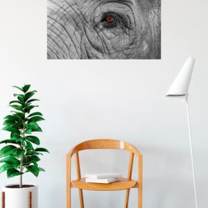 buyartforless Elephant Eye 36x24 Photographic Reproduction Canvas, Gray