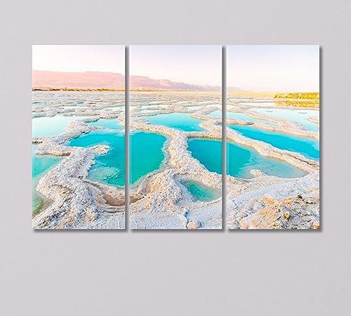 Dead Sea Coast Canvas Print 1 Panel / 36x24 inches