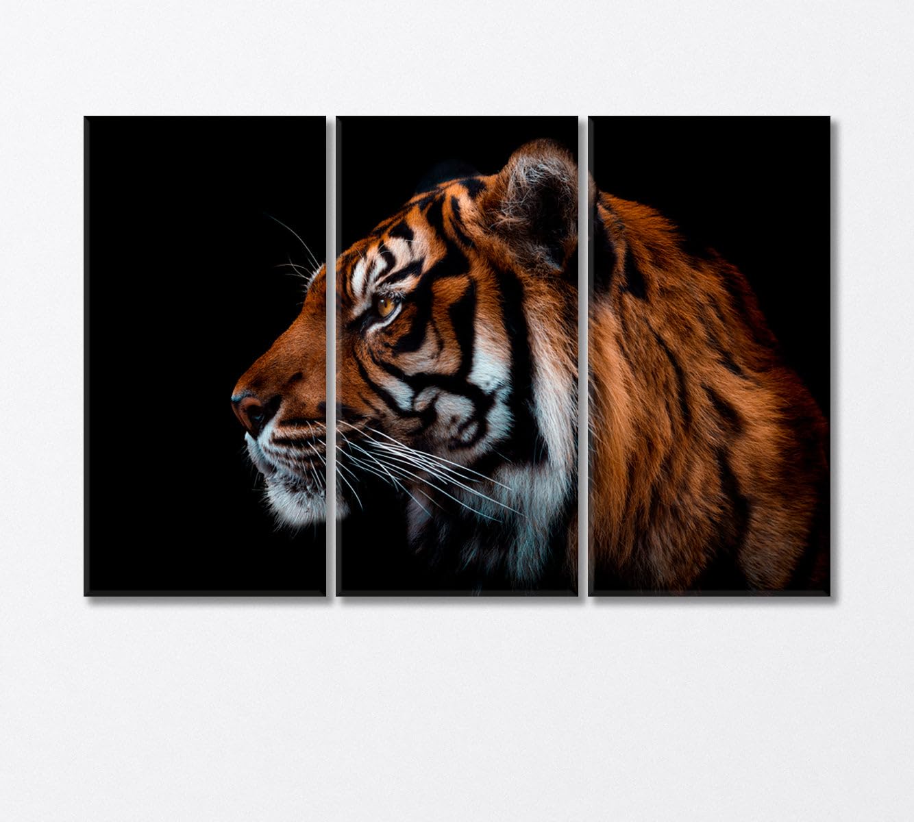 Sumatran Tiger Canvas Print 1 Panel / 36x24 inches