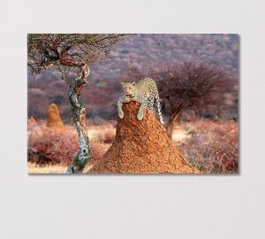 leopard on a termite hill namibia africa canvas print 1 panel / 36x24 inches