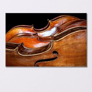 Three Beautiful Cellos Canvas Print 5 Panels / 36x24 inches