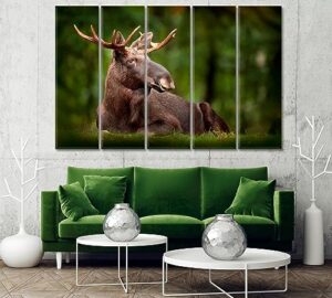 american moose in natural habitat canvas print 5 panels / 36x24 inches