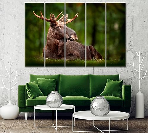 American Moose in Natural Habitat Canvas Print 5 Panels / 36x24 inches