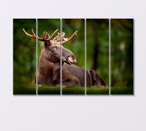 American Moose in Natural Habitat Canvas Print 5 Panels / 36x24 inches