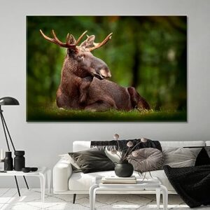 American Moose in Natural Habitat Canvas Print 5 Panels / 36x24 inches