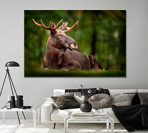 American Moose in Natural Habitat Canvas Print 5 Panels / 36x24 inches