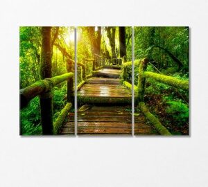 old wooden bridge in doi inthanon national park thailand canvas print 3 panels / 36x24 inches