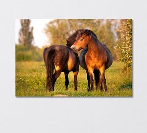 pair of exmoor ponies canvas print 1 panel / 36x24 inches