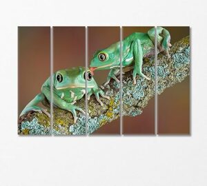 pair of wax frogs canvas print 5 panels / 36x24 inches