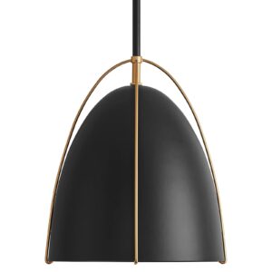 fookchak black dome pendant light 10in 1-light kitchen pendant lighting egg-shaped black gold pendant light fixture for kitchen island, dining room,kitchen sink,bar,10inԺåe26