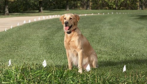 Small Black Bones Replacement Containment and Training Dog Collar Strap with RFA-67 Batteries - Compatible with Most PetSafe In-Ground Fence, Wireless Fence Receiver, and Training Collars (Bundle 2)