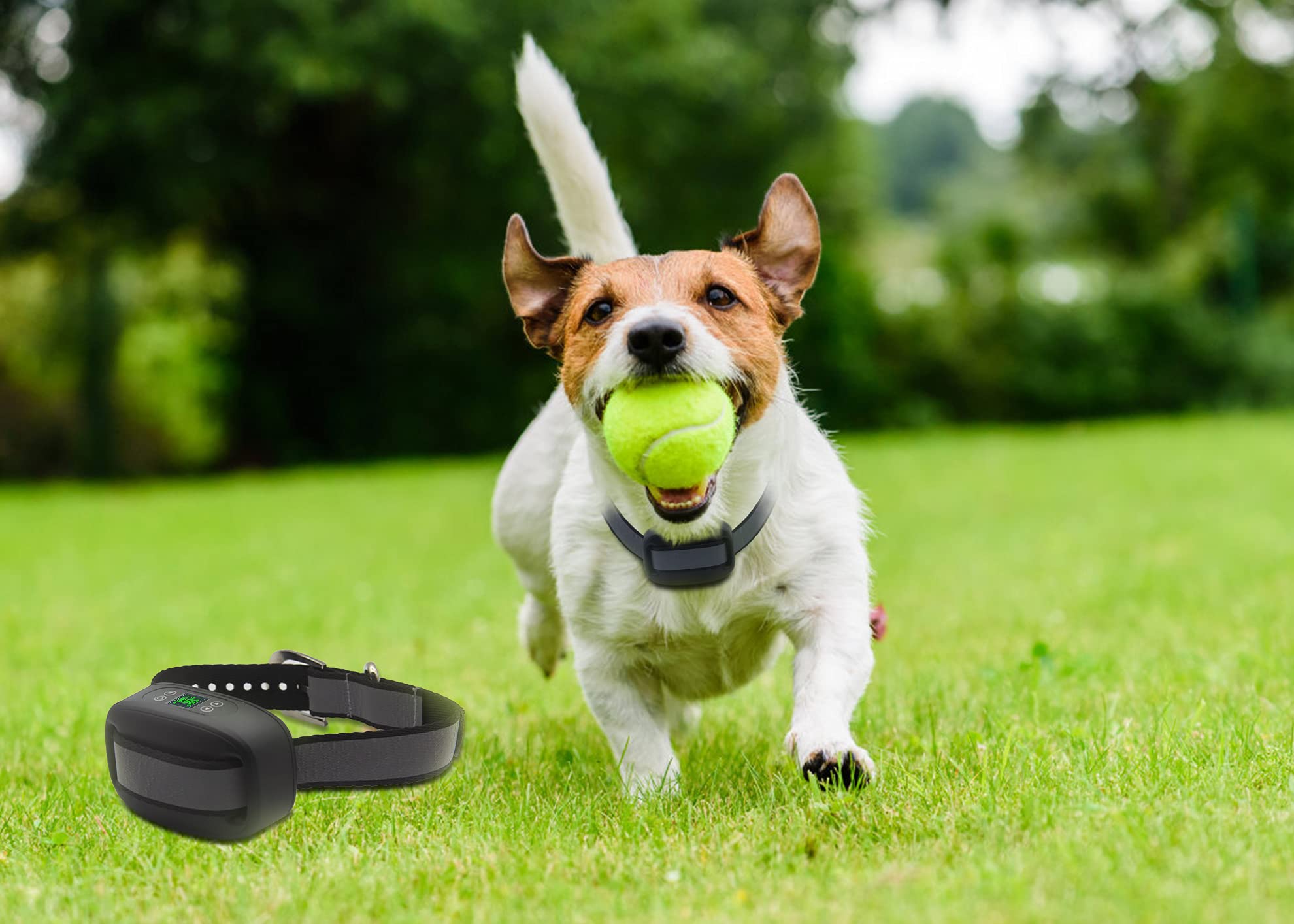 WIEZ GPS Wireless Dog Fence, Electric Dog Fence with GPS, Range 100-3300 ft, Adjustable Warning Strength, Rechargeable, Pet Containment System, Harmless and Suitable for All Dogs