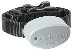 perimeter technologies invisible fence r21 replacement collar 7k - 1 dog and free backup collar strap