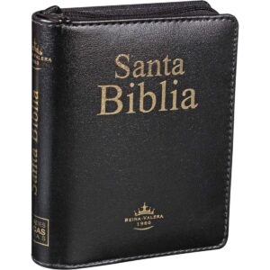 santa bíblia con concordancia y letra grande / with concordance & large print (spanish edition)