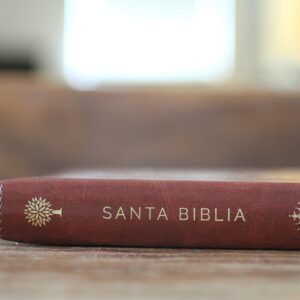 Biblia Reina Valera 1960 letra grande. Símil piel canela, cremallera, tamaño manual / Spanish Bible RVR 1960. Handy Size, Large Print, Leathersoft, Brown Zip