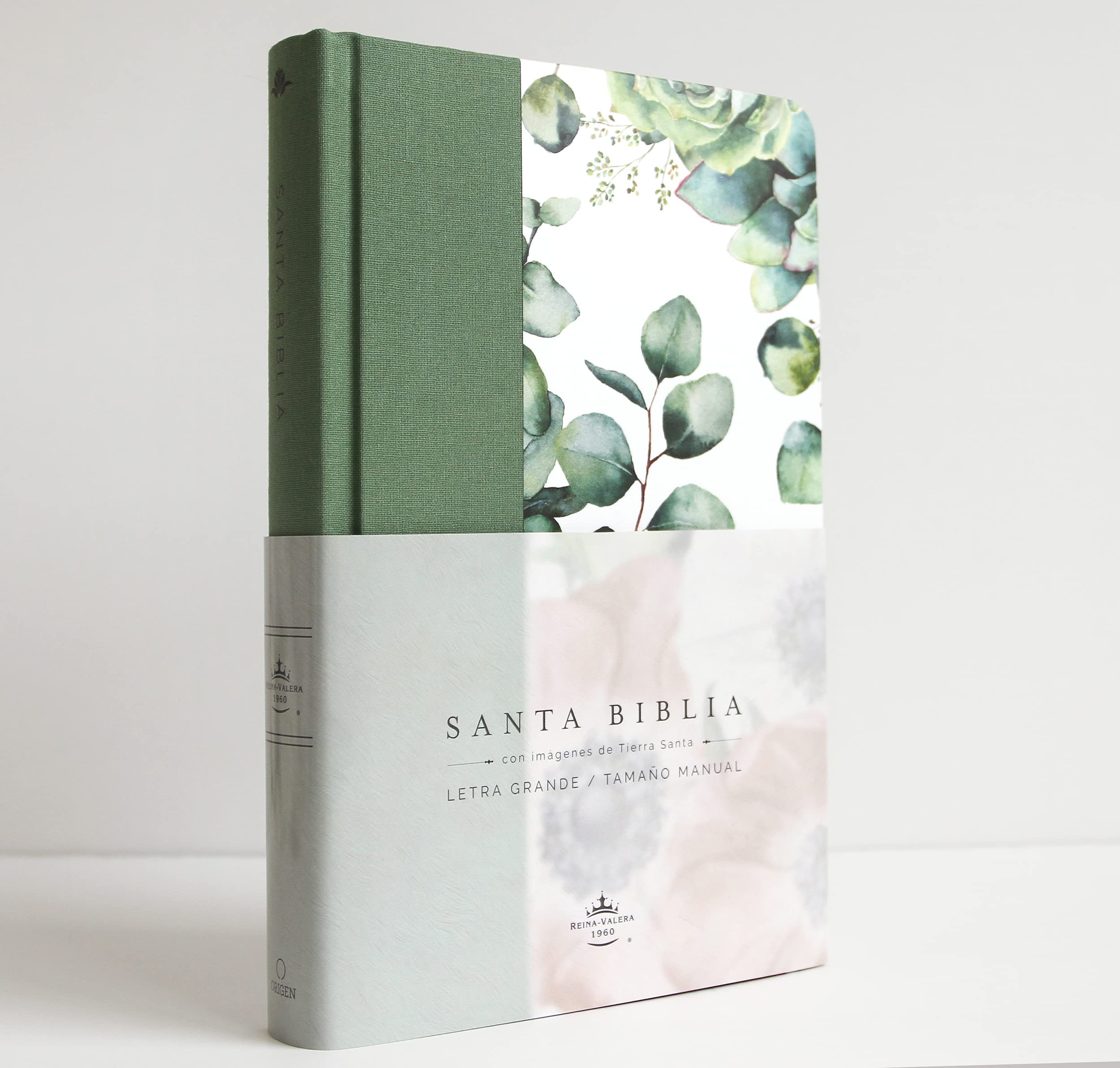 Biblia RVR 1960 letra grande Tapa dura y tela verde con flores tamaño manual / B ible RVR 1960 Handy Size Large Print Hardcover Cloth with Green Floral